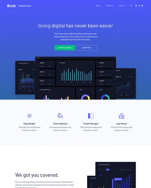 Brisk – Multi-Purpose Elementor WordPress Theme