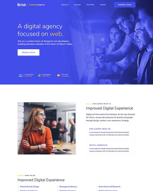 Brisk – Multi-Purpose Elementor WordPress Theme